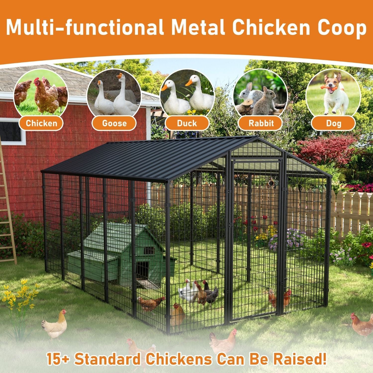 Metal Chicken Coop for 15 Chickens, Galvanized Steel Roof & Mesh – Veikous